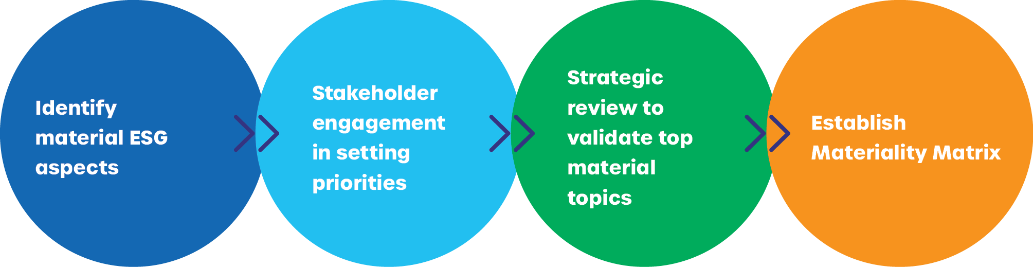 Materiality | Tata Projects Integrated Annual Report 2023 - 2024
